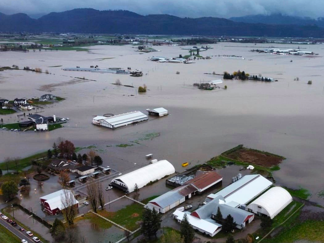 Faith-filled Response to Historic Flood | Christian Reformed Church