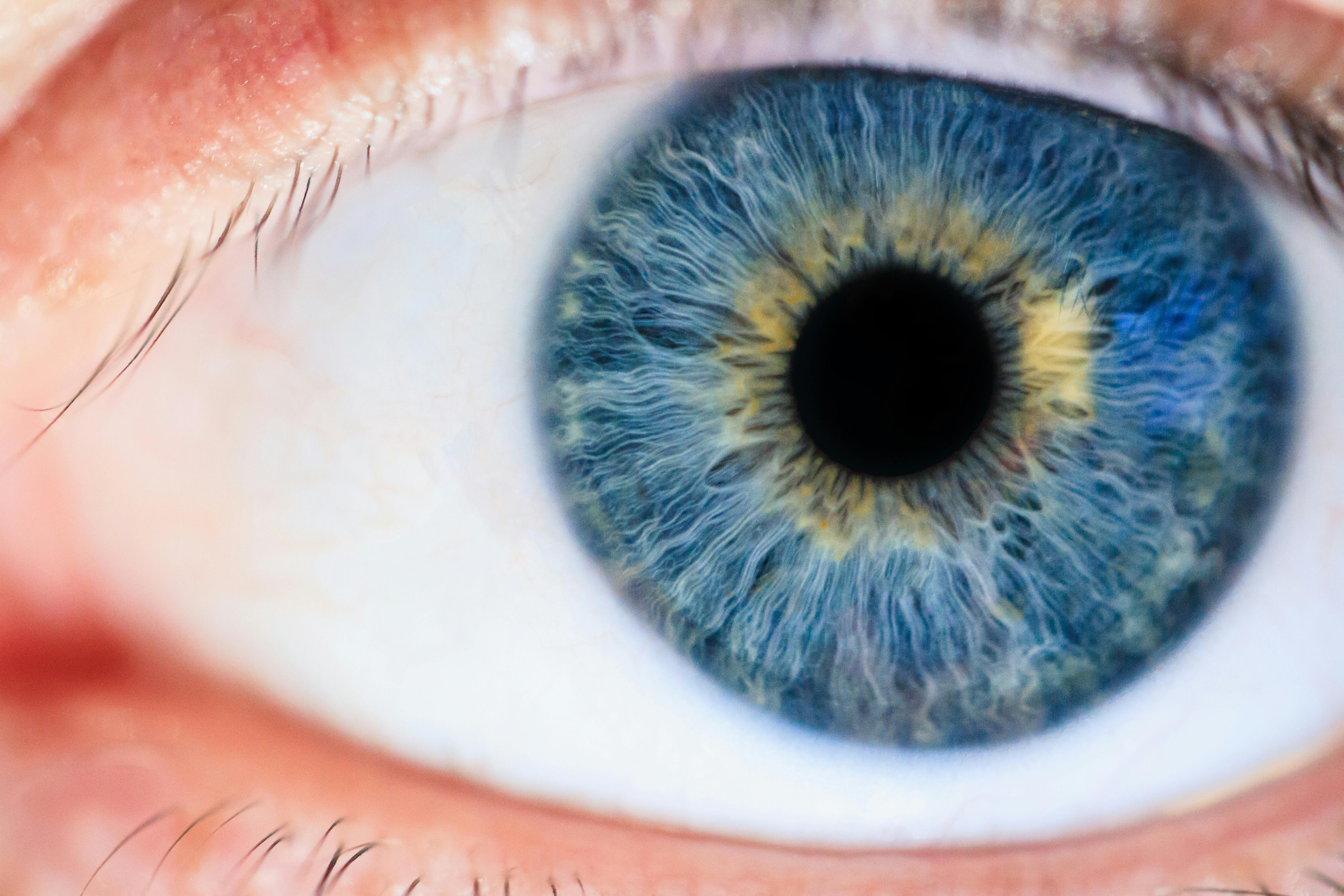 Just Eyes | Christian Reformed Church