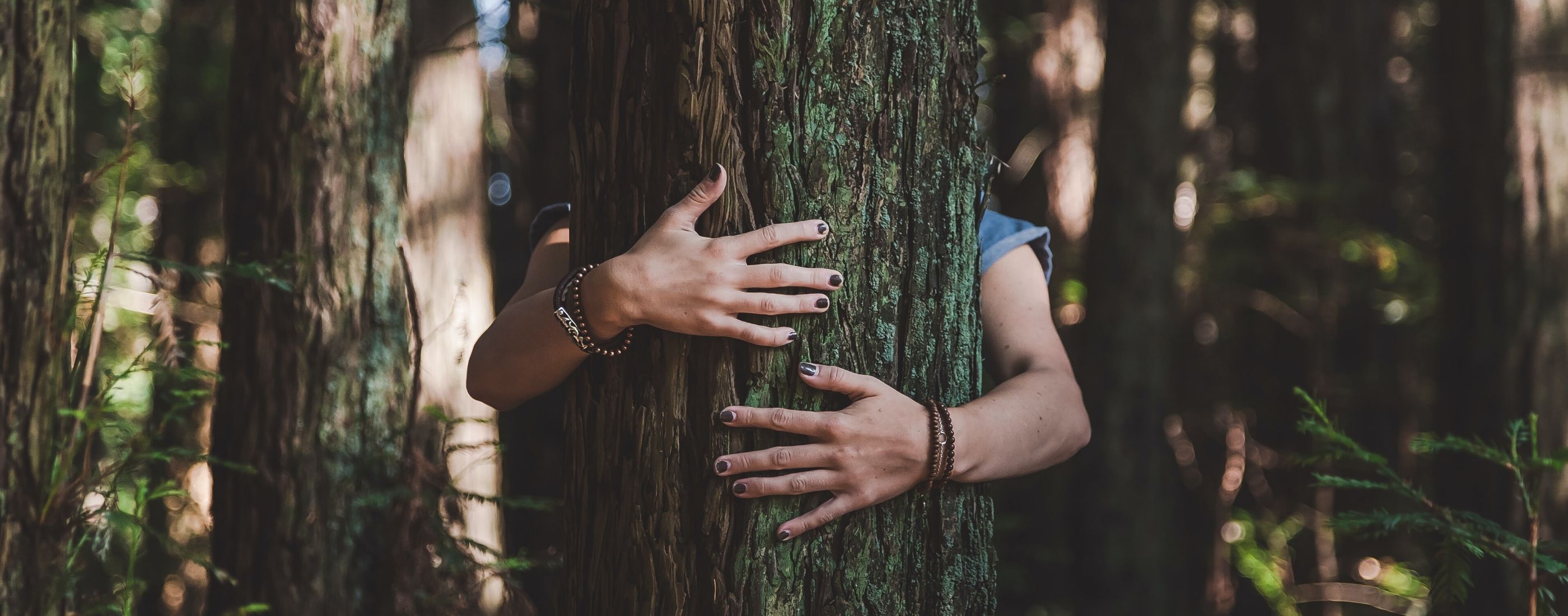 Should Christians love creation as we love ourselves? No, we should ...