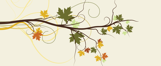 Ordinary Season Need Not be Ordinary | Christian Reformed Church